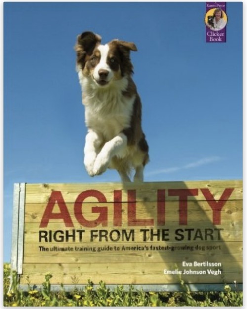 Stampin’ Up! Avant Garden Big On Birthdays Card | Stamps – n - Lingers