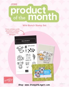 Stampin’ UP! NEW Product of The Month, Two New Kits, a COOL New Card ...